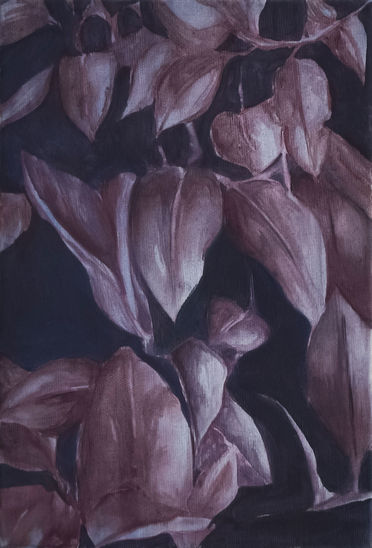 Exhibitions - The Edit Gallery